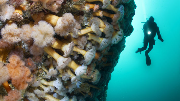 A partnership to advance exploration - Environment