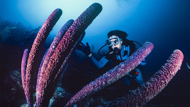 Meet two generations of leading ocean protectors - Environment