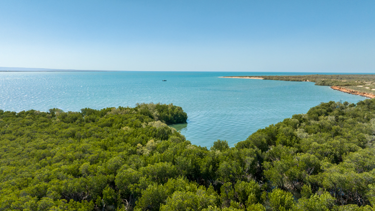 Rolex and Mission Blue - Exmouth Gulf and Ningaloo Coast Hope Spot