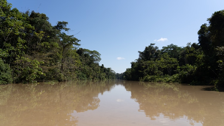 Perpetual Planet Amazon Expedition - Through the Tributaries - Video