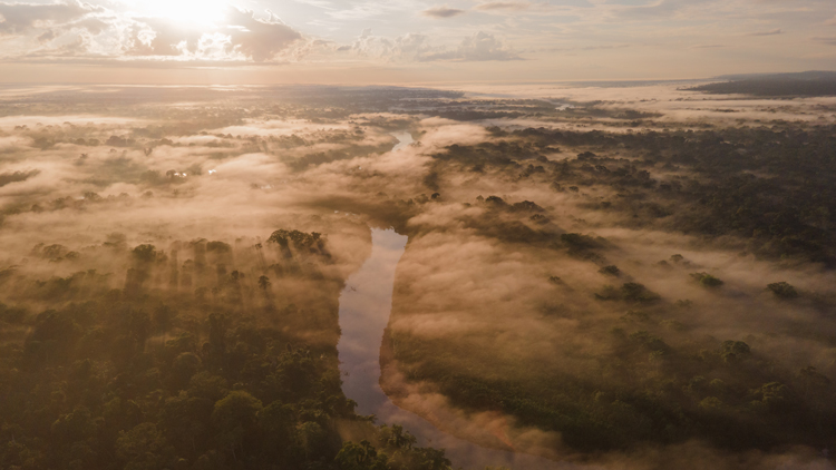Perpetual Planet Amazon Expedition - Within the soil