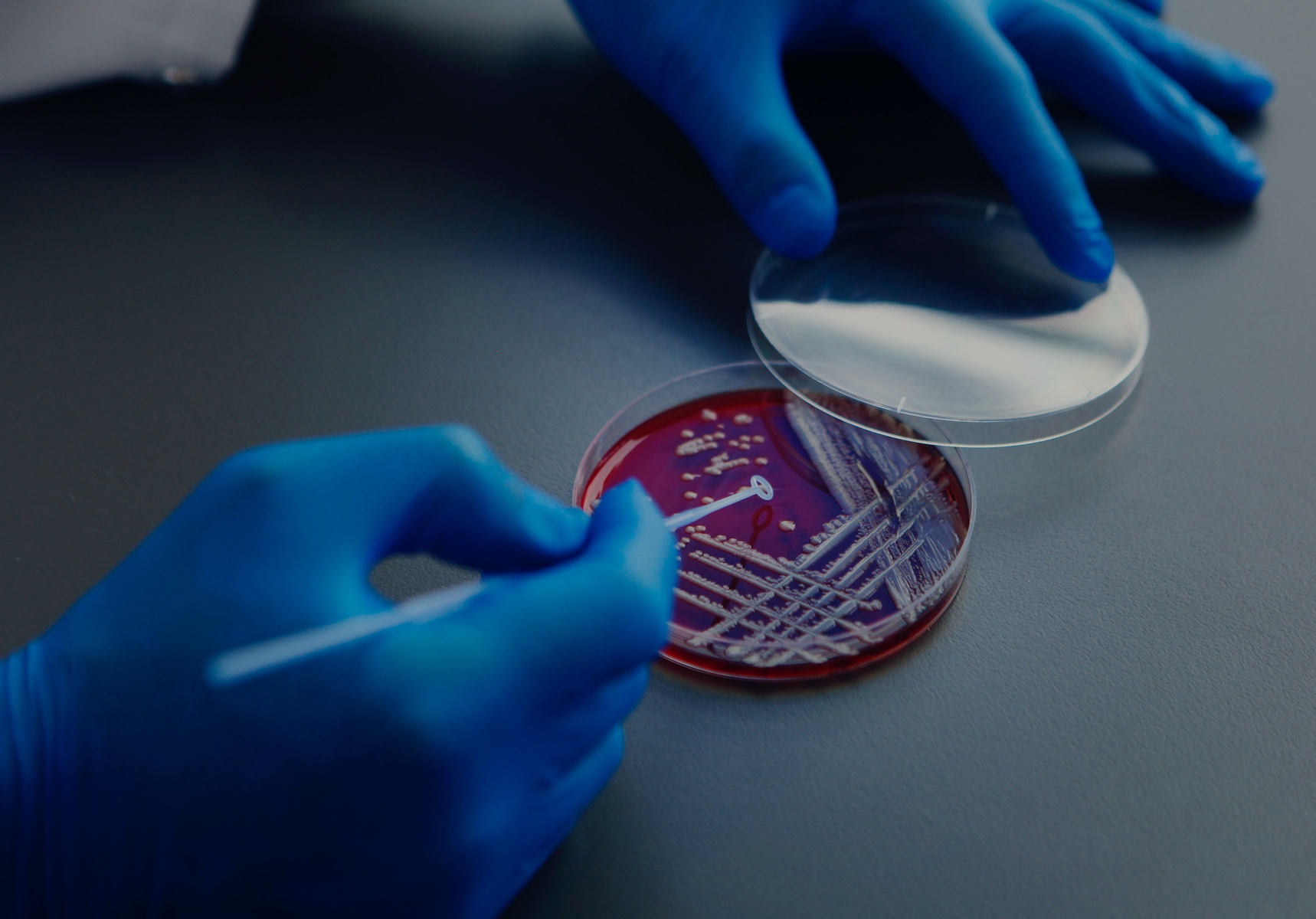 Lasting contributions to future generations - Rolex.org