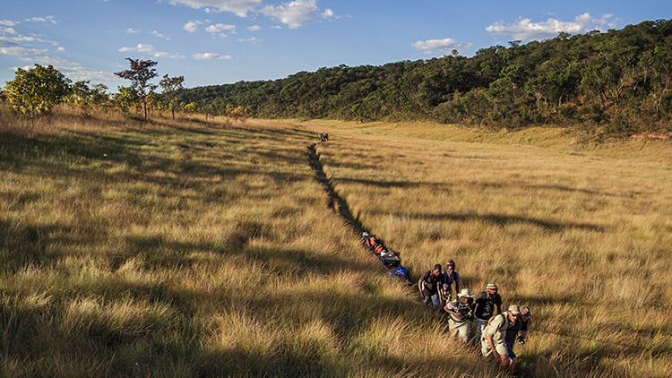 The 2019 Rolex National Geographic Explorers of the Year - The Okavango ...