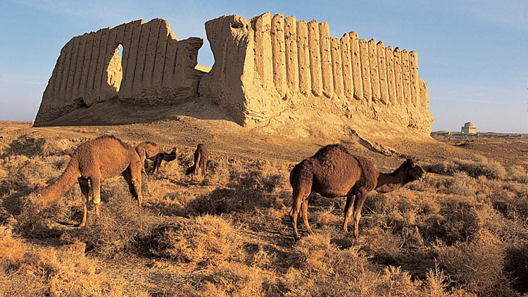 Treasures in the desert - Video