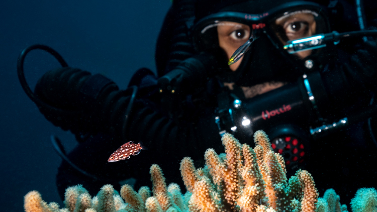 2021 Rolex Awards for Enterprise Laureate Video: Luiz Rocha